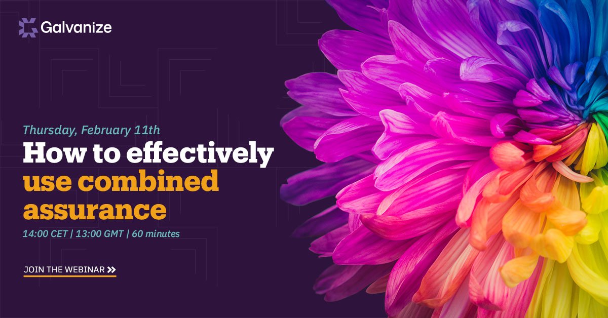 11 februari - Webinar: 'How to effectively use combined assurance ...
